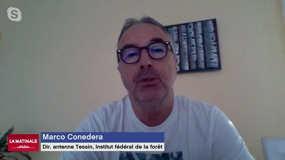 La Matinale - La lutte contre les incendies dans le Haut-Valais ...