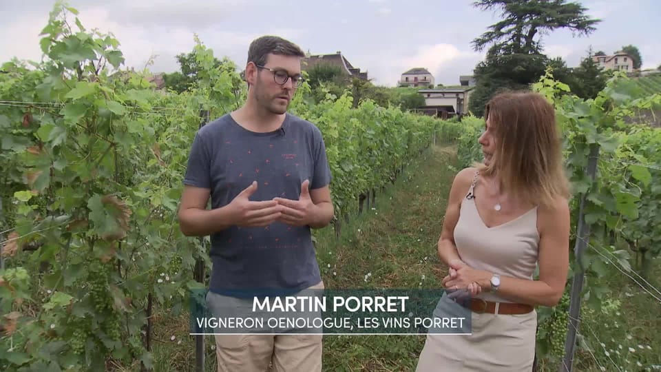 Couleurs d'été - Suite de l'entretien avec Martin Porret, vigneron ...