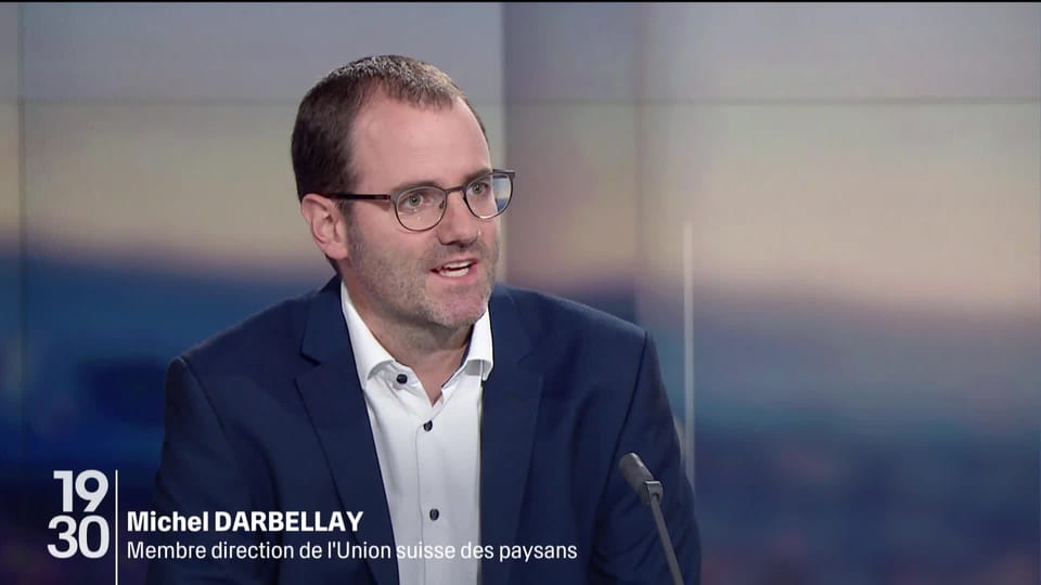 19h30 - Il faut produire moins de viande. Les explications de Michel ...