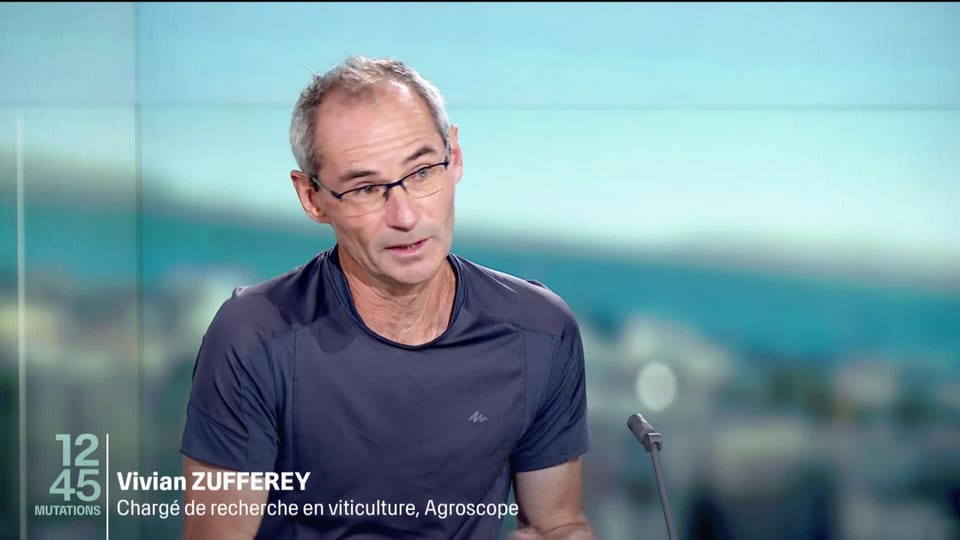 12h45 - Rendez-vous Mutations : « Viticulture, les défis du futur ...