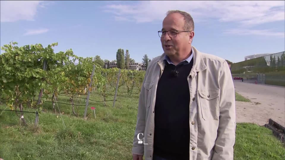 Couleurs locales - Entretien avec Jean-Philippe Burdet, professeur en ...