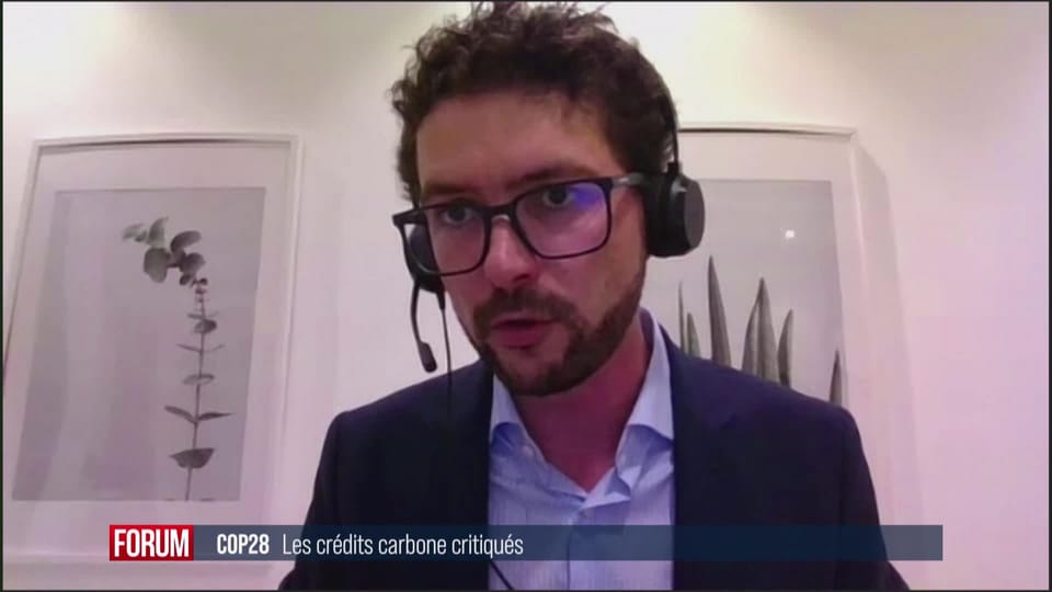 Forum - La COP 28 va-t-elle sauver les très décriés crédits carbone ...