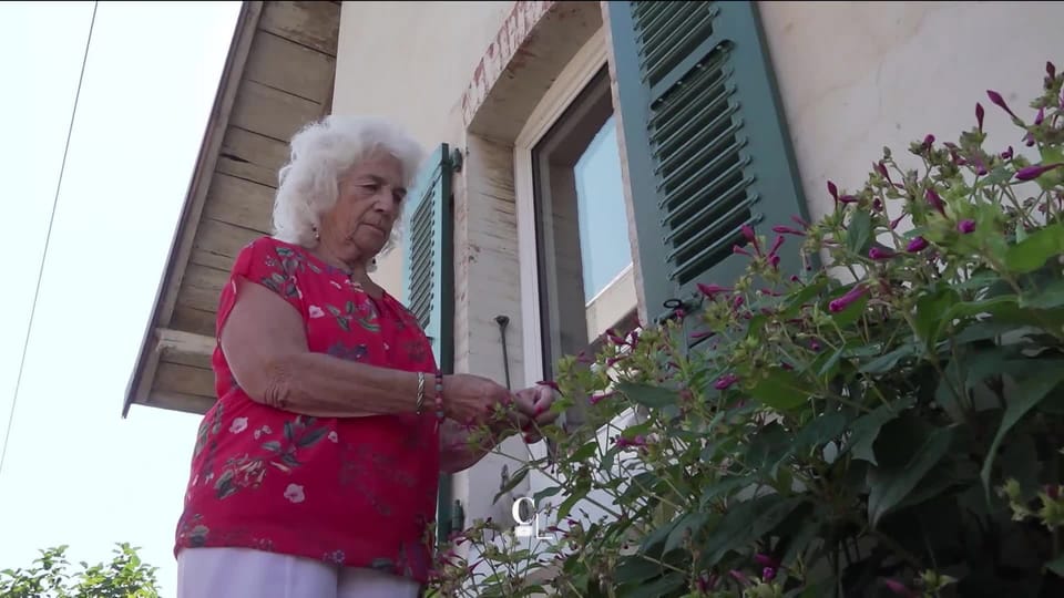 Couleurs locales - Une passionnée de chemins de fer a acheté la guérite ...