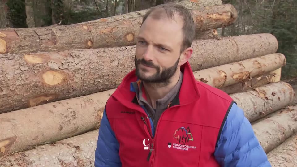 Couleurs locales - Entretien avec Alexandre Magnin, Forestier du triage ...