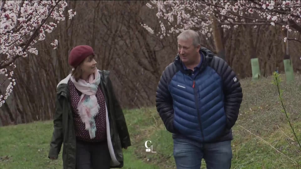 Couleurs locales - Entretien avec Fabrice Gaillard, producteur d ...