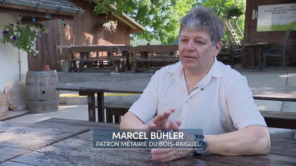 Couleurs d'été - Entretien avec Marcel Bühler, patron de la métairie du ...