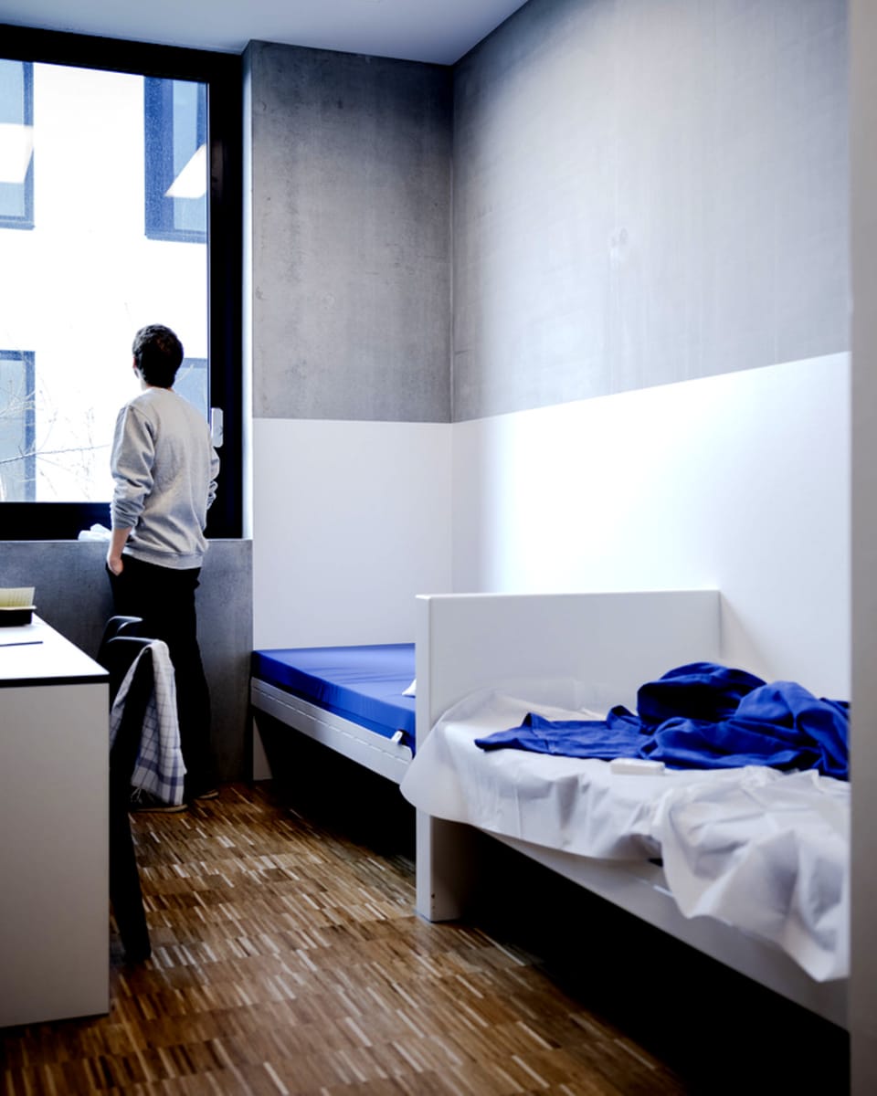 Swedish Prison System