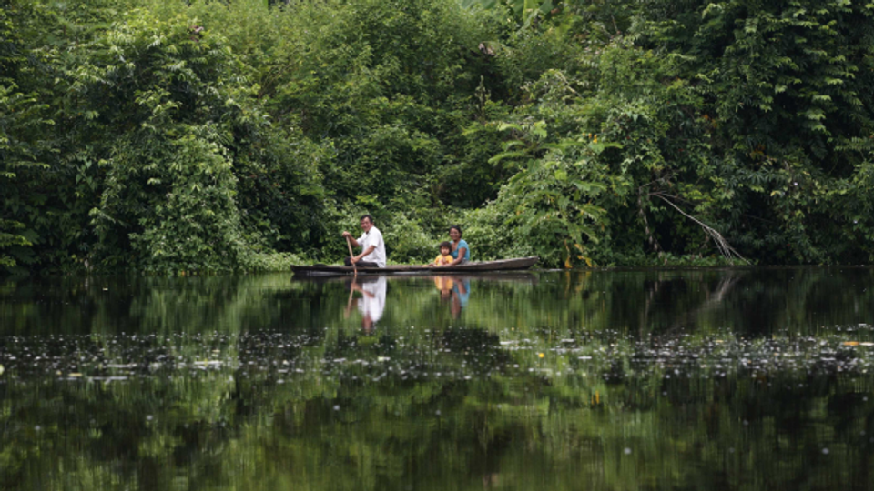 Ausbeutung im Amazonas - Indigener Philosoph: «Hört auf, die Welt zu ...
