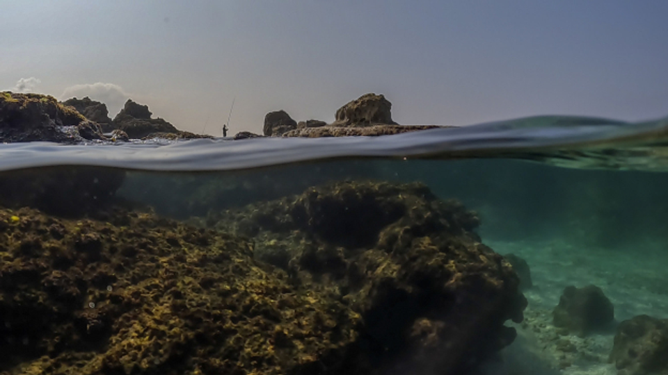 Meere so warm wie noch nie - «Wir erwarten eine noch stärkere Erwärmung ...